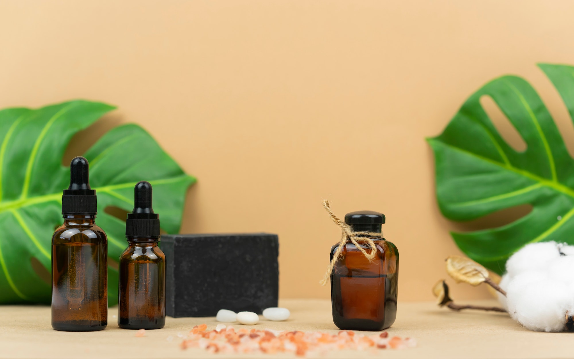 Quelles sont les meilleures huiles végétales pour votre routine